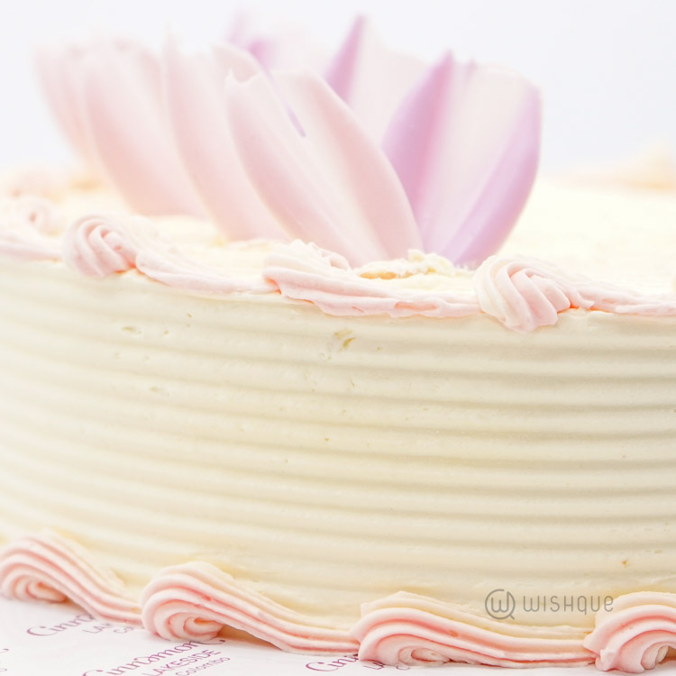 Butter Icing Ribbon Cake - Wishque | Sri Lanka's Premium Online Shop ...
